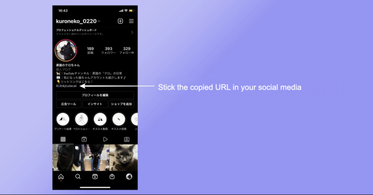 【Official】What is "lit.link"? A detailed explanation of how to use litlink!